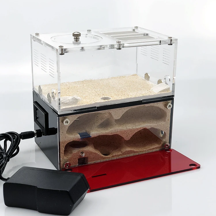 Formicarium