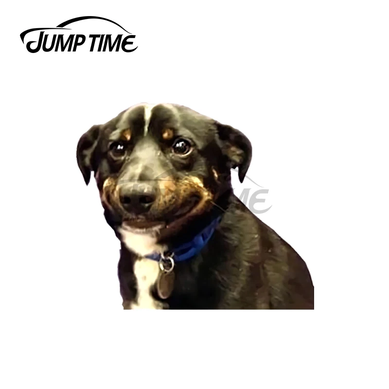 Smiling Dog Meme