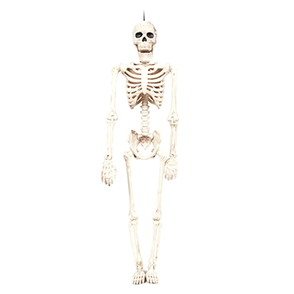 40cm Halloween Skeleton Toy Skeleton Full Body Halloween Skeleton With ...