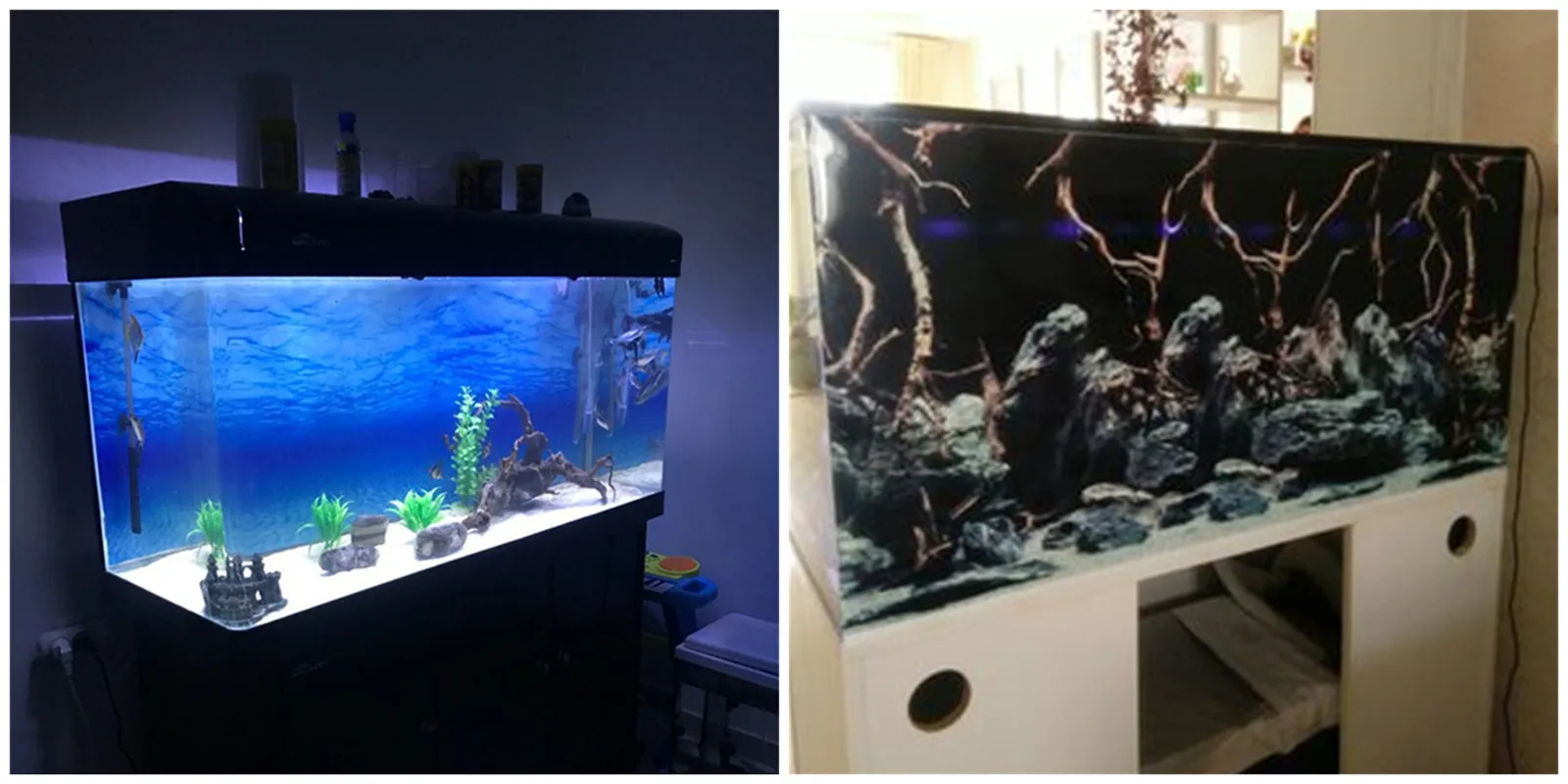 Blue Aquarium Backgrounds