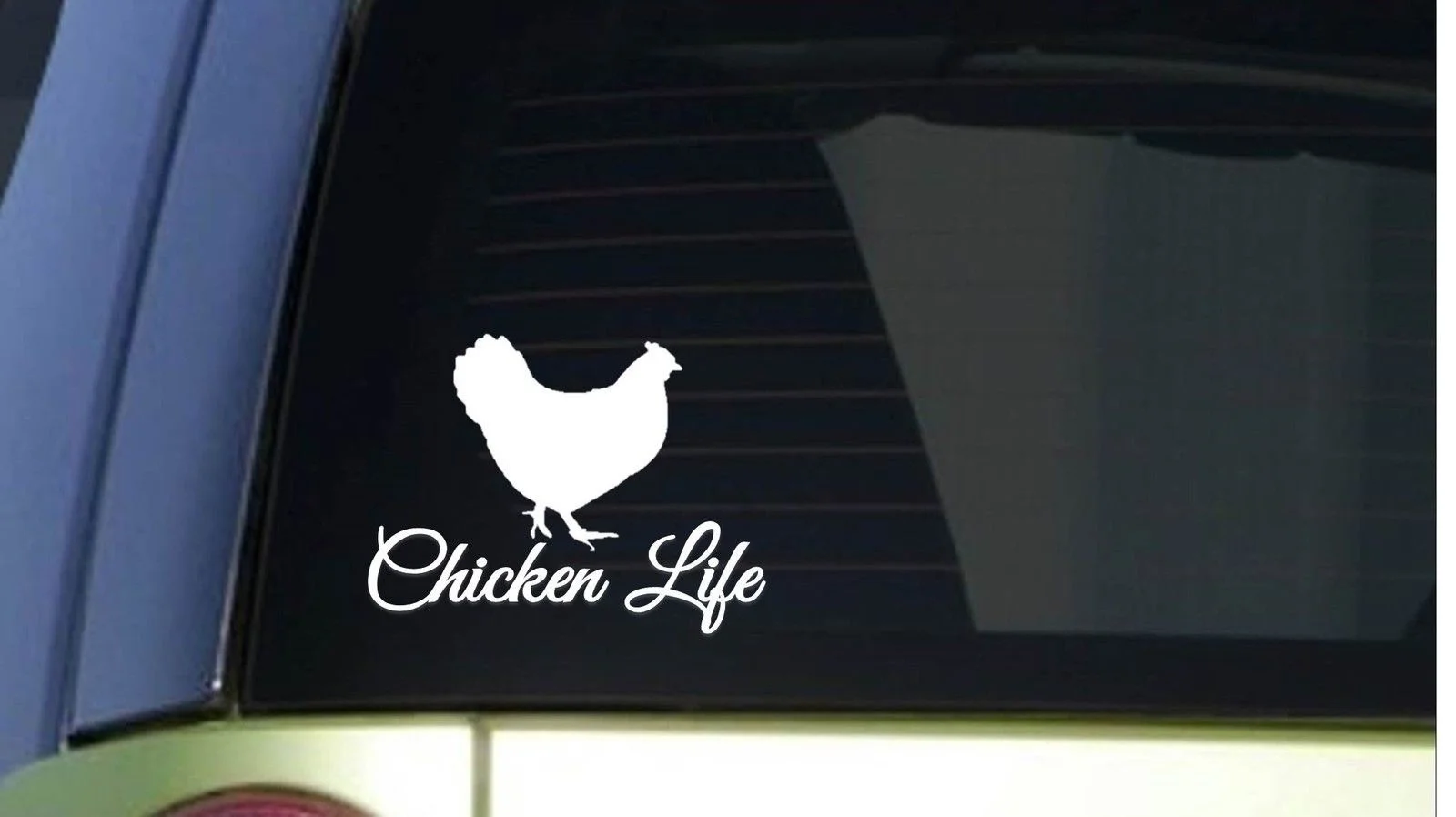 Chicken Life 6" Sticker decal egg crate incubator coop window Sticker ...
