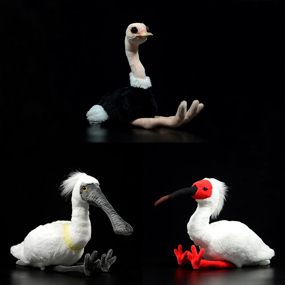 Soft-Realistic-Common-Ostrich-Stuffed-Animal-Toy-Lifelike-Crested-Ibis ...