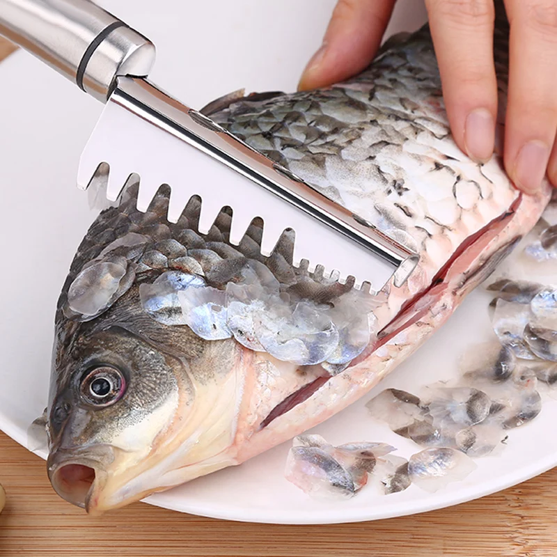 fish cleaning knife Scale removal scaler and aquatic animals supplies ...