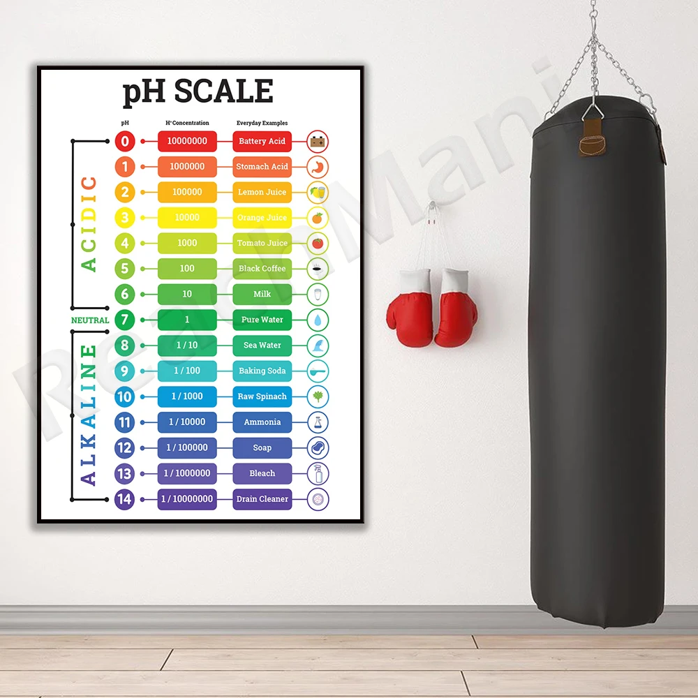 Ph Scale For Kids