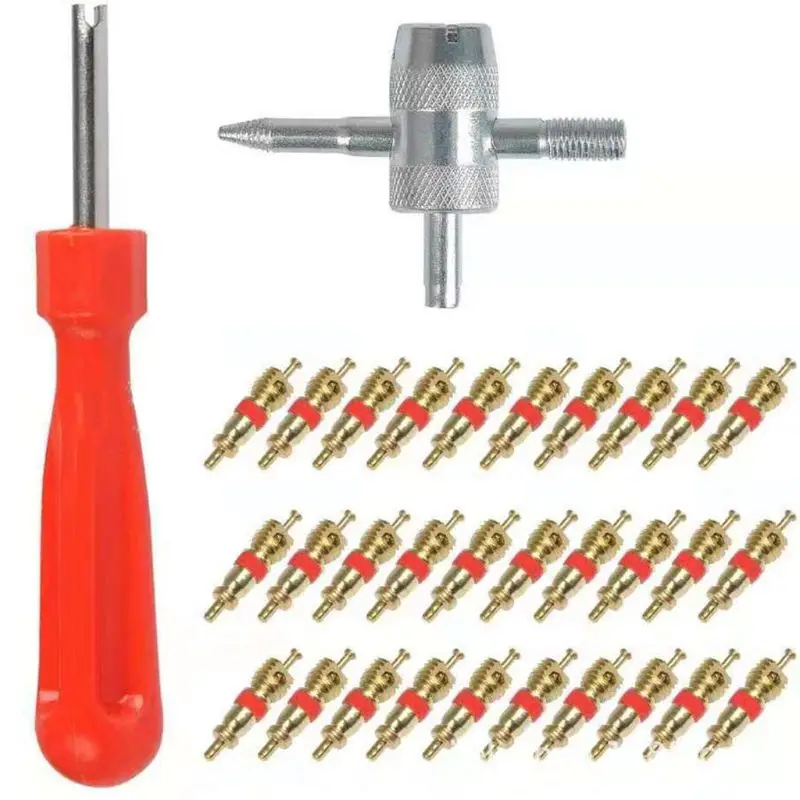 32 Pcs Single Head Valve Cores Removers With 4 In 1 Tyre Valve Repair ...