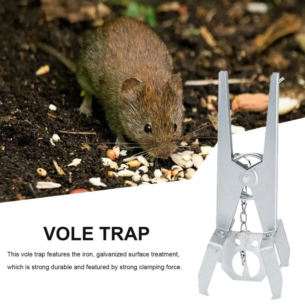 Vole Traps
