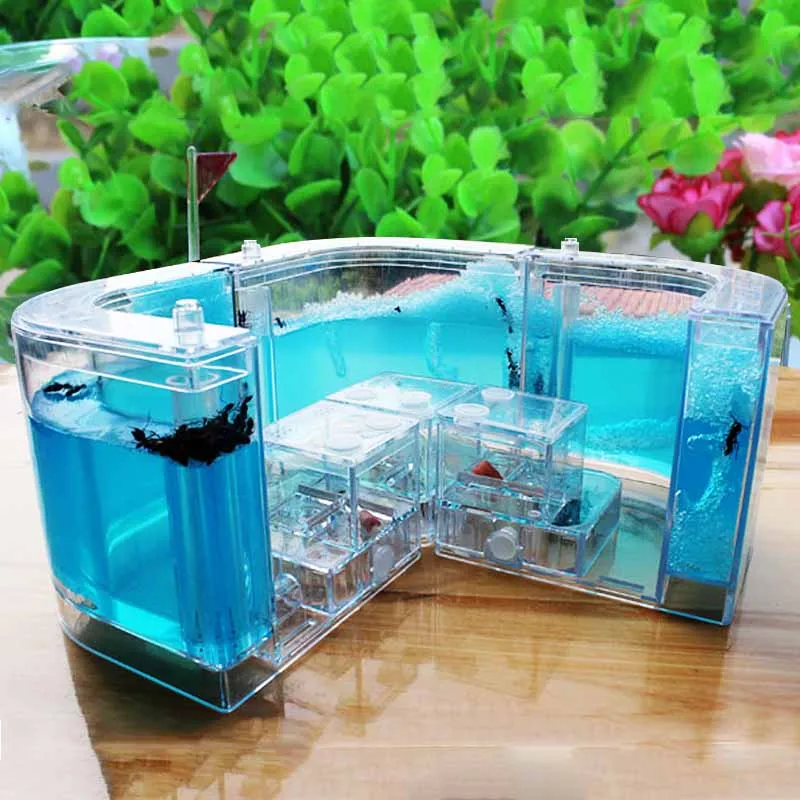 Homemade Ant Farm