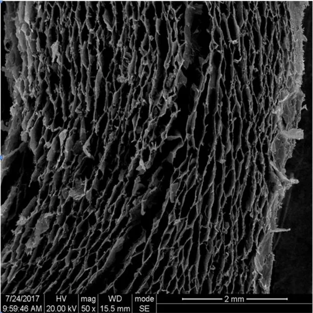 Graphene Aerogel Sem