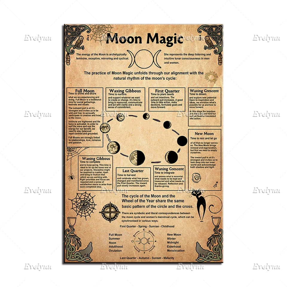 Poster Project On Moon Phases