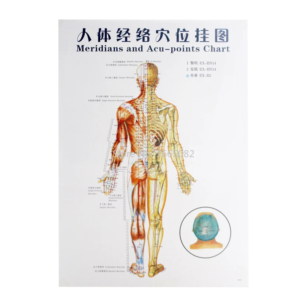 Generic 7pcs/set Acupuncture Massage Point Map Chineseenglish Meridian ...