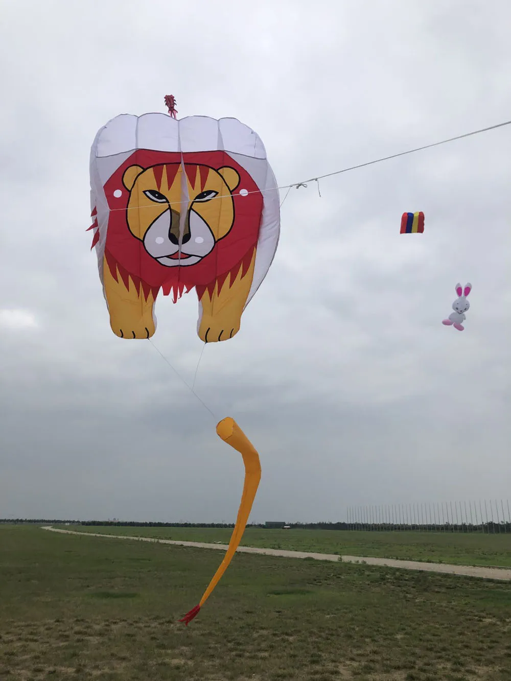 Animal Kites