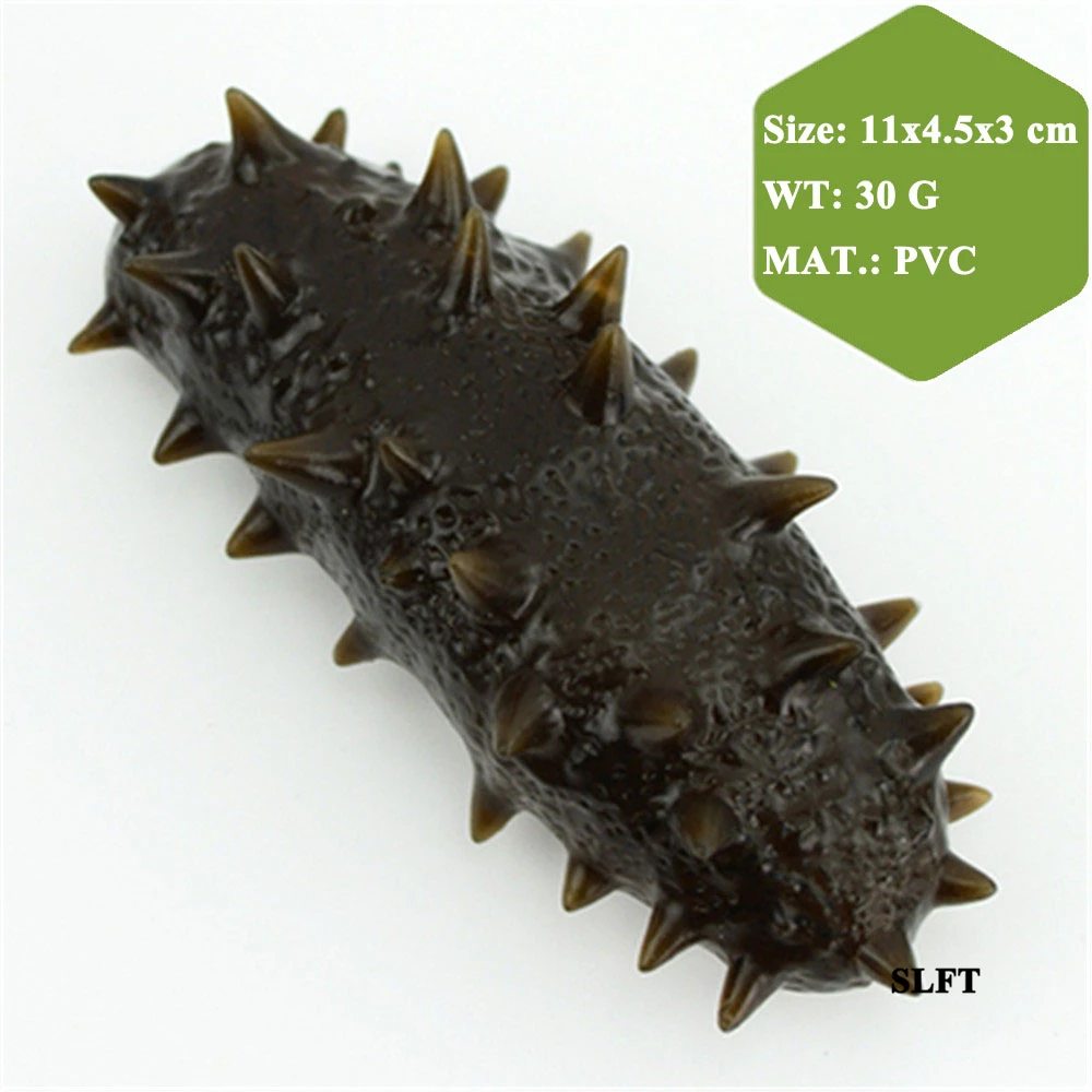 Transparent Sea Cucumber