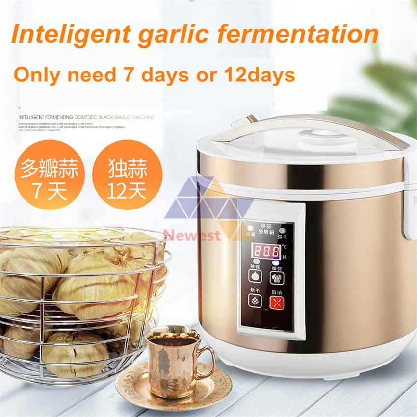 Automatic Black Garlic Fermenter Smart Fermentation Machine Thickened ...