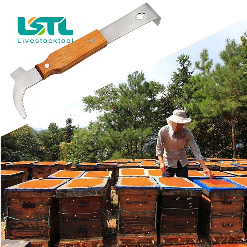 1 Pcs Bee Take Honey Tools Bee Honey Scraper Cut Honey Knife Beekeeping ...