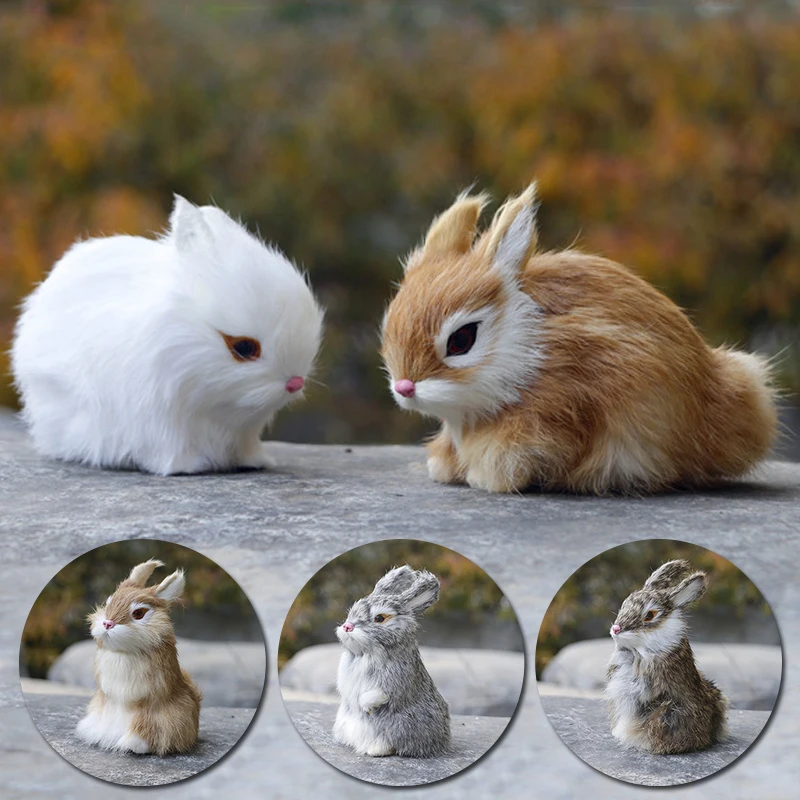 Pictures Of The Real Easter Bunny