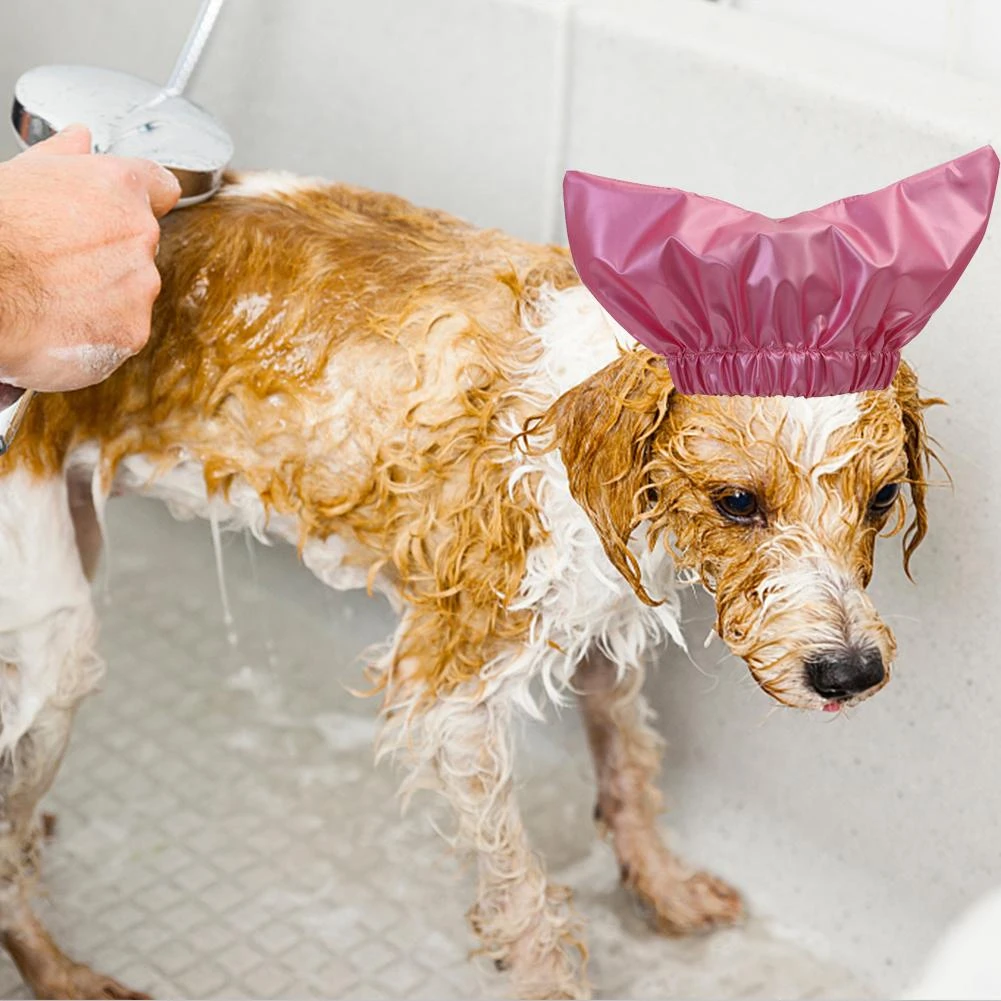 How Do You Cover Dog Ears In Shower