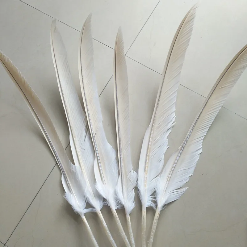 Wholesale-5-pcs-Many-white-Eagle-Feathers-Rare-20-24-inches-50-60-cm ...