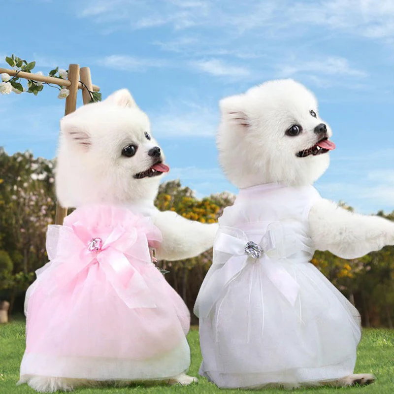 Cats In Wedding Dresses