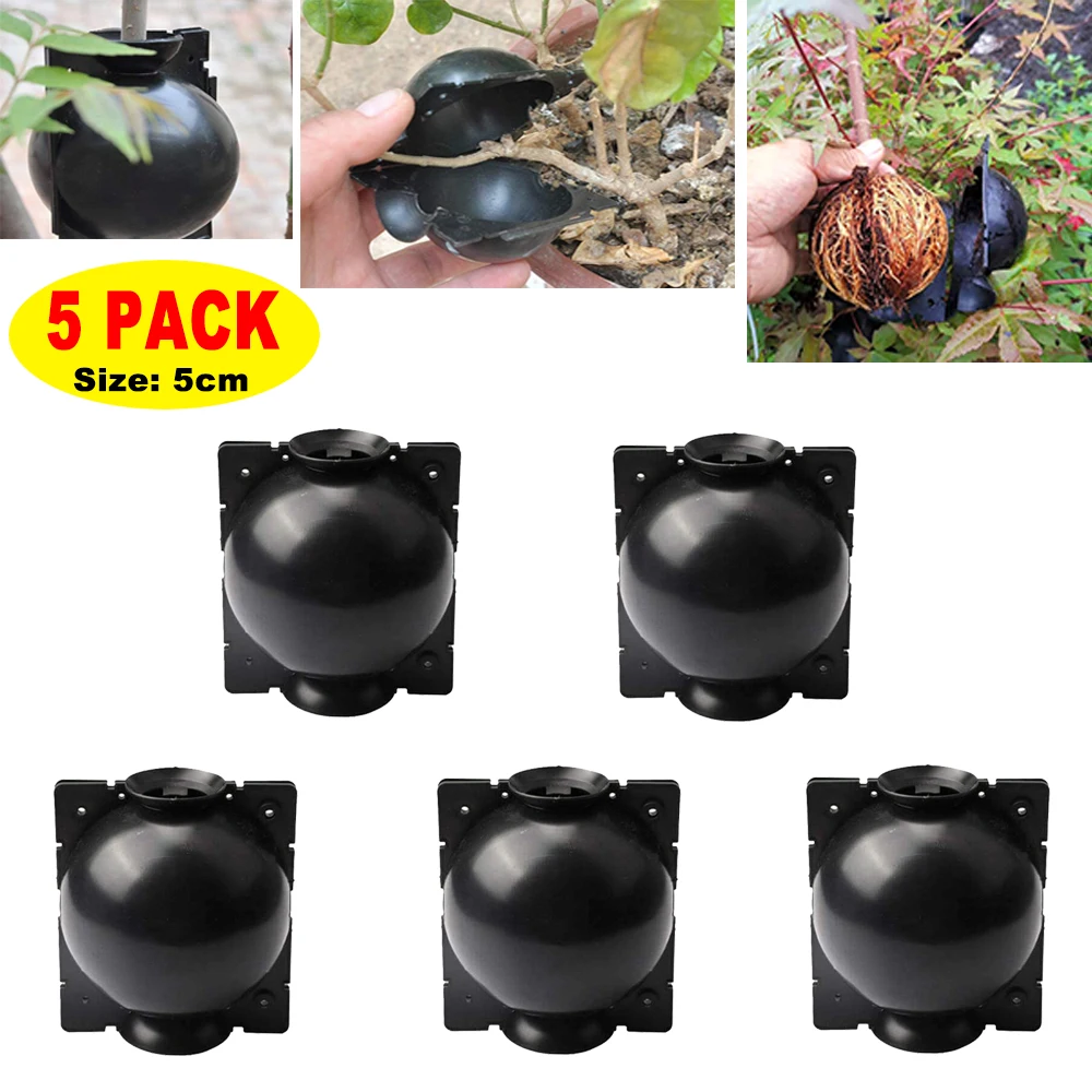1-3-5-Pcs-Plant-Root-Graft-Balls-Root-Graft-Growing-Box-Breeding-Case ...