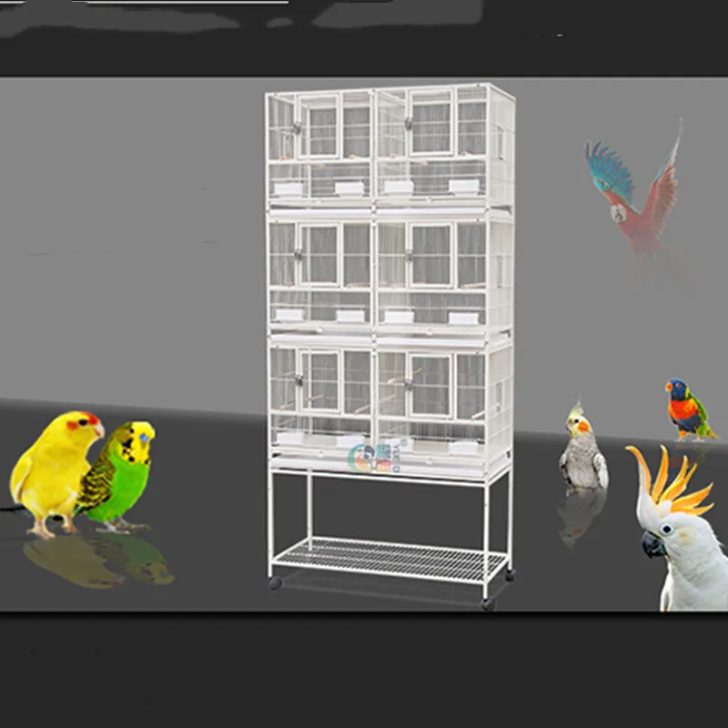 African Love Birds Cage Design