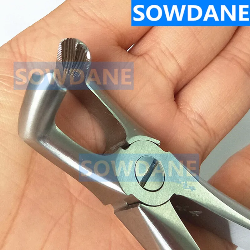 Dental-Lower-Mandibular-Molars-Wisdom-teeth-extraction-forcep-Saw-tooth ...