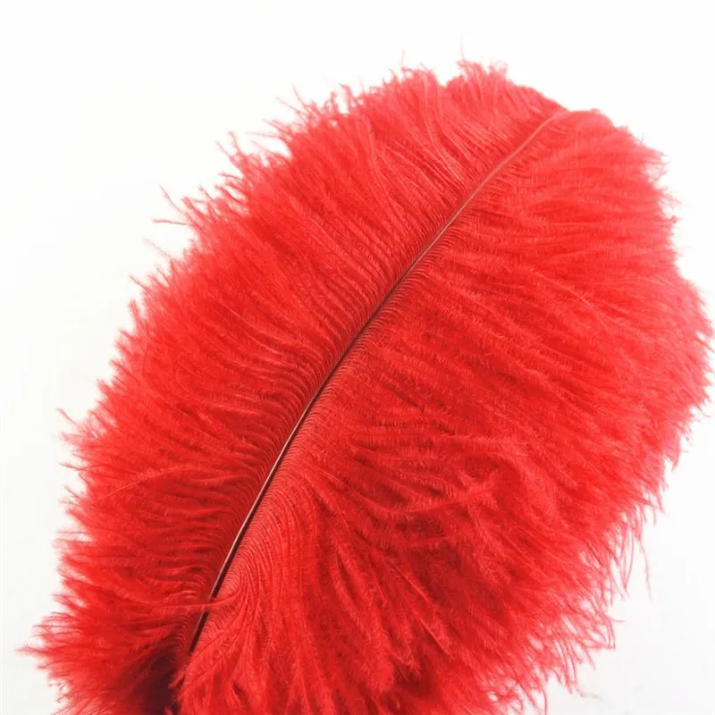 Natural Ostrich Feather Wine Red | Feathers Decoration Red | Ostrich ...