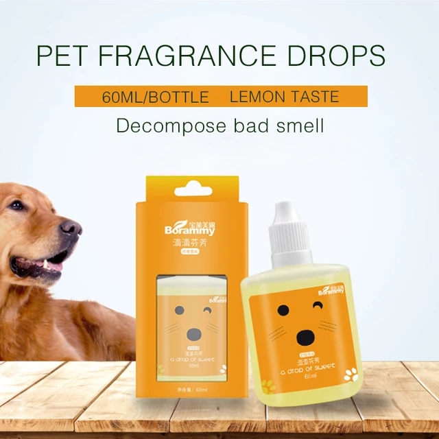 Is Lemon Flavor Ok For Dogs