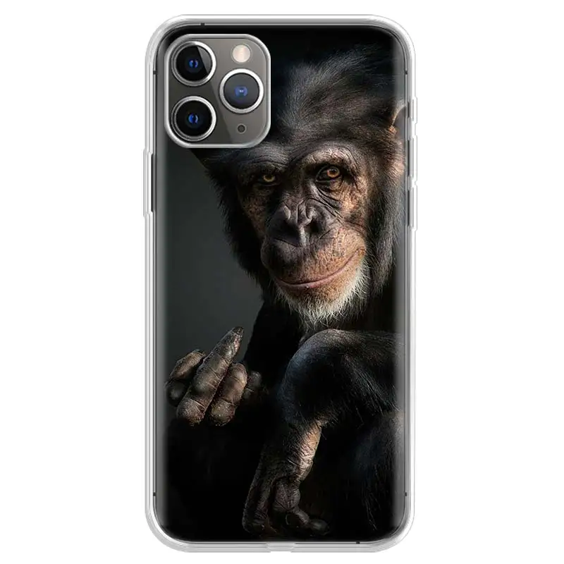 Thinking Monkey Funny