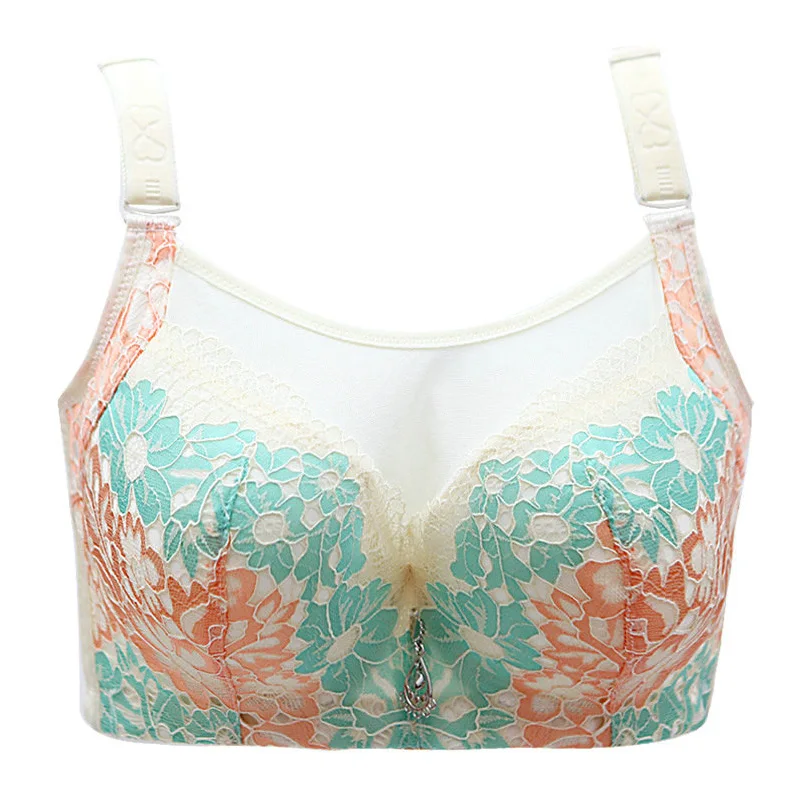 Bonnet 100e | ppgbbe.intranet.biologia.ufrj.br