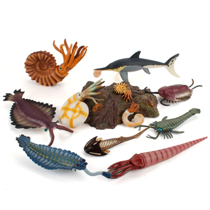 Simulation-Ancient-Fossil-Marine-Life-Conch-Shrimp-Fish-Dragon-Turtle ...