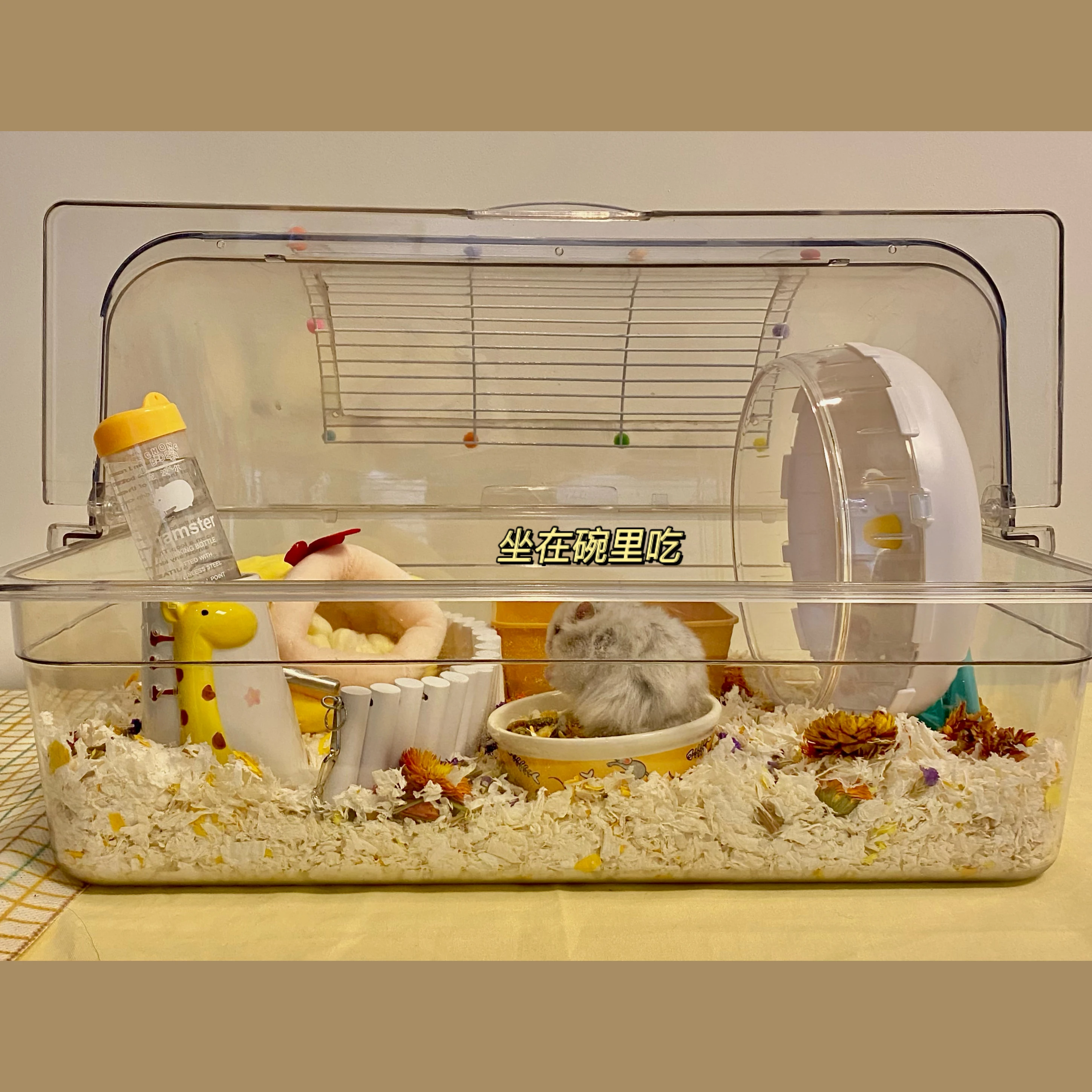 Diy Hamster Bedding
