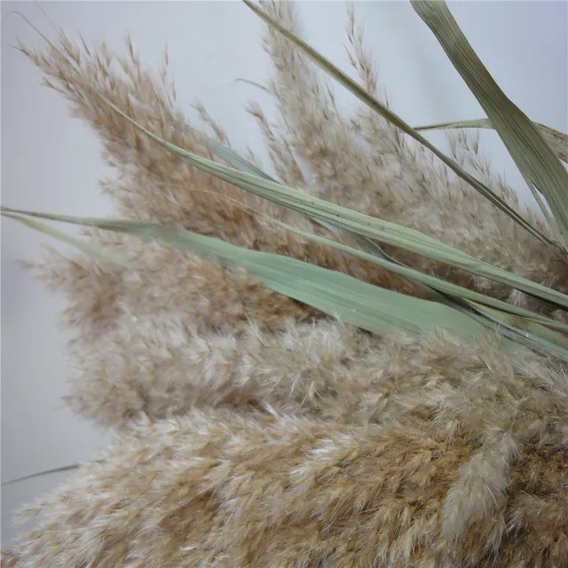 2021 New Year Decoration Pampas Grass Bunch Wedding Pampas Flowers ...