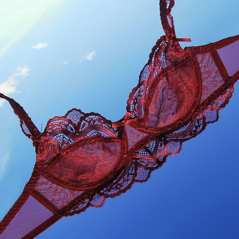 Conjunto de roupa íntima feminina de renda francesa, sutiã e calcinha ...