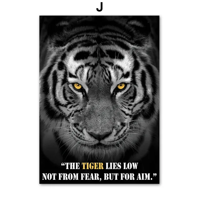 White Tiger Quotes
