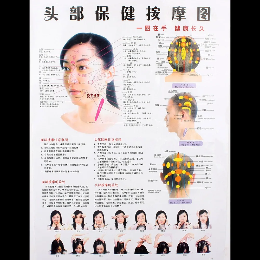 Waterproof-chart-of-the-head-reflective-zone-health-therapy-Massage ...