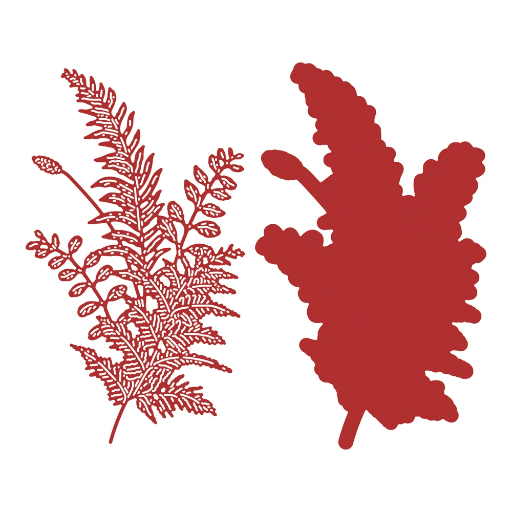 How To Draw A Red Fern