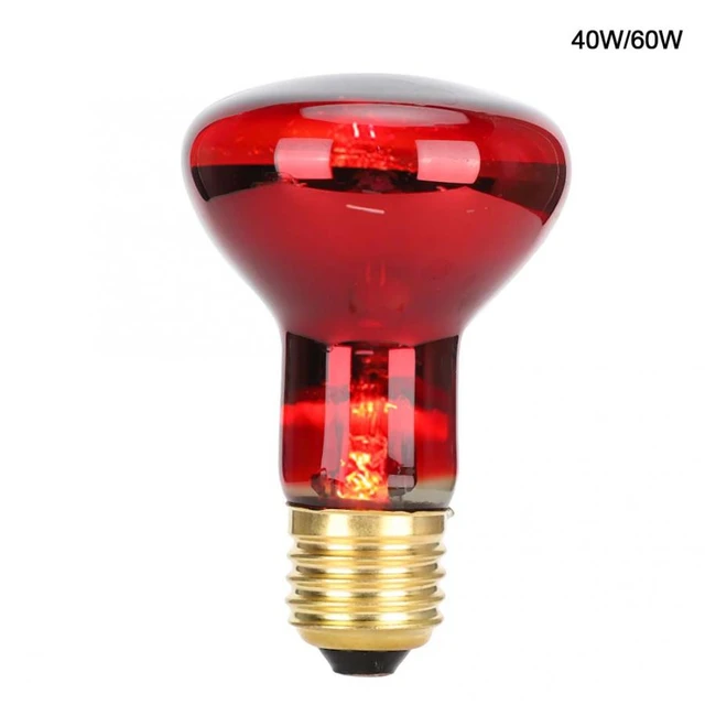 Light Bulb Creatures