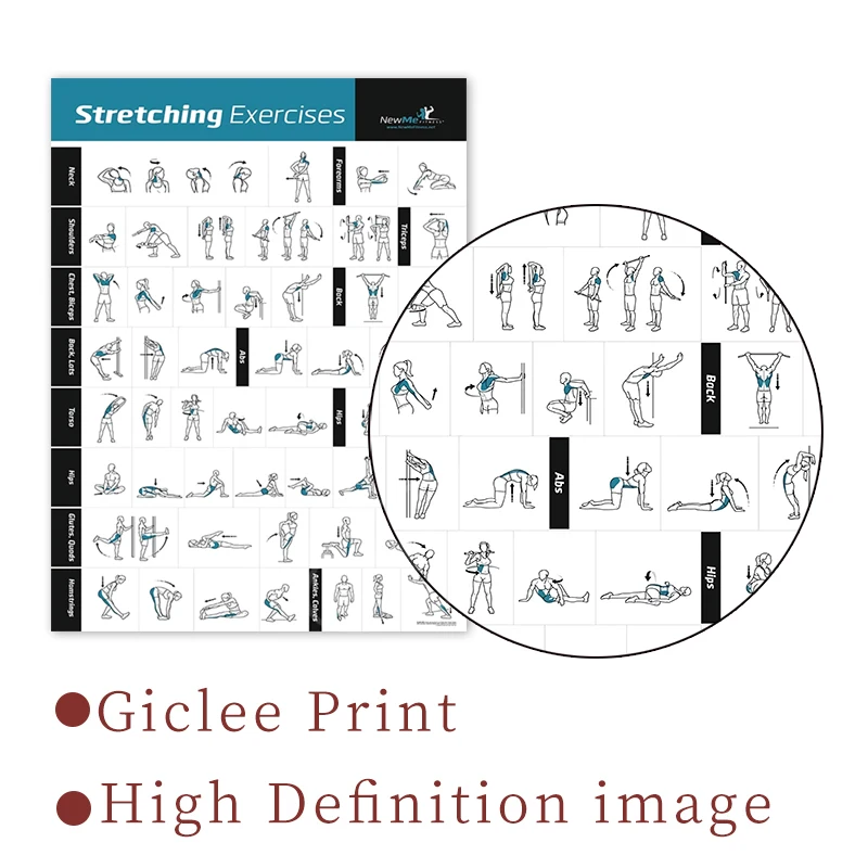 Bodybuilding Exercises Chart For Men