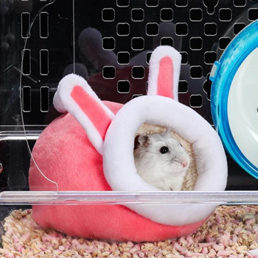 Cute Dwarf Hamster Sleeping