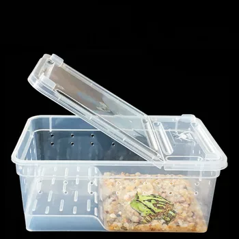 Terrarium for reptiles Transparent Plastic Box Insect Reptile Transport ...