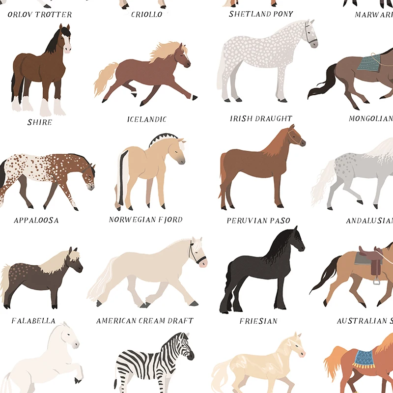 Horse Breeds Poster