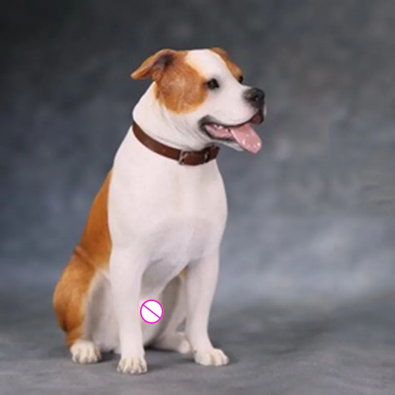 1/6 Scale Simulated Animal Model American Staffordshire Terrier For 12 ...