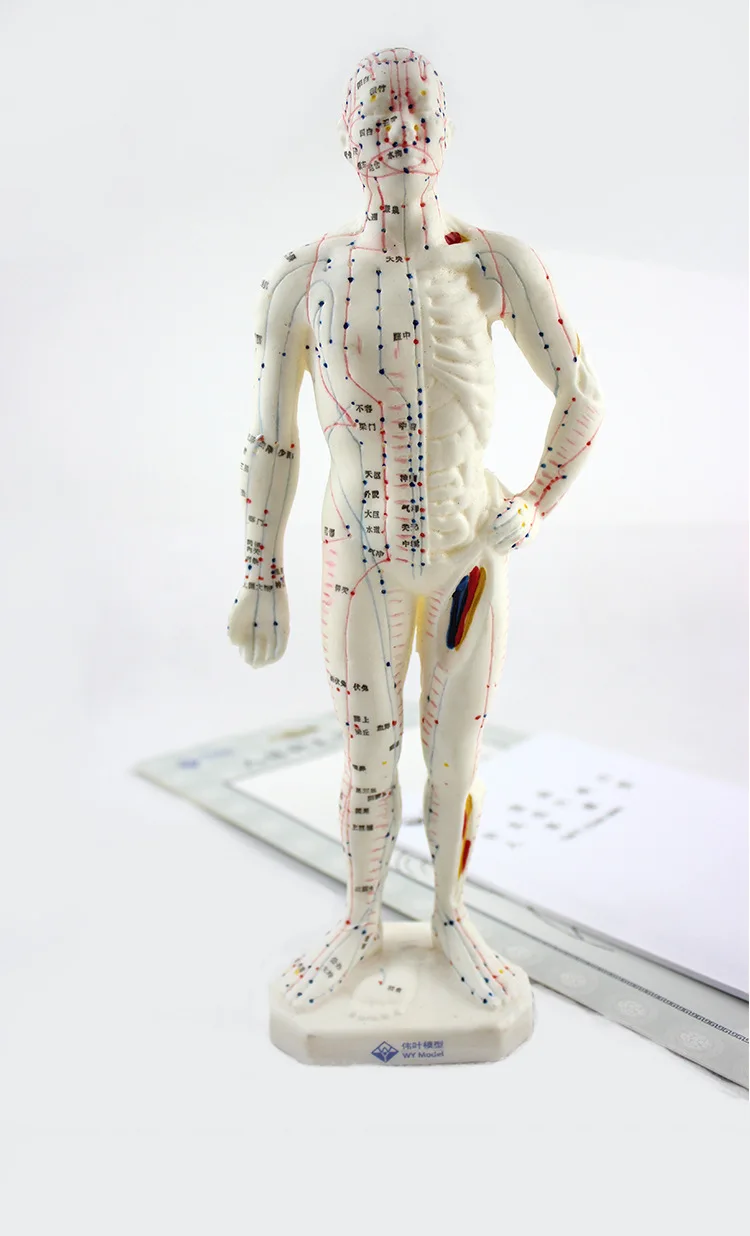 Medical Chinese / English Medicine Meridians Acupuncture and ...