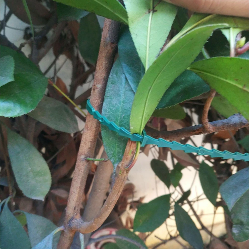 Tuteur Plante,Attaches en plastique réutilisables,50 pièces,arête de ...