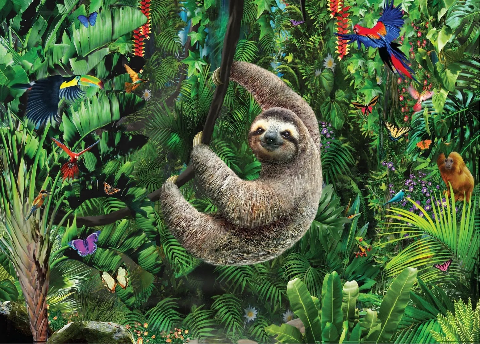 Tropical Rainforest Sloth