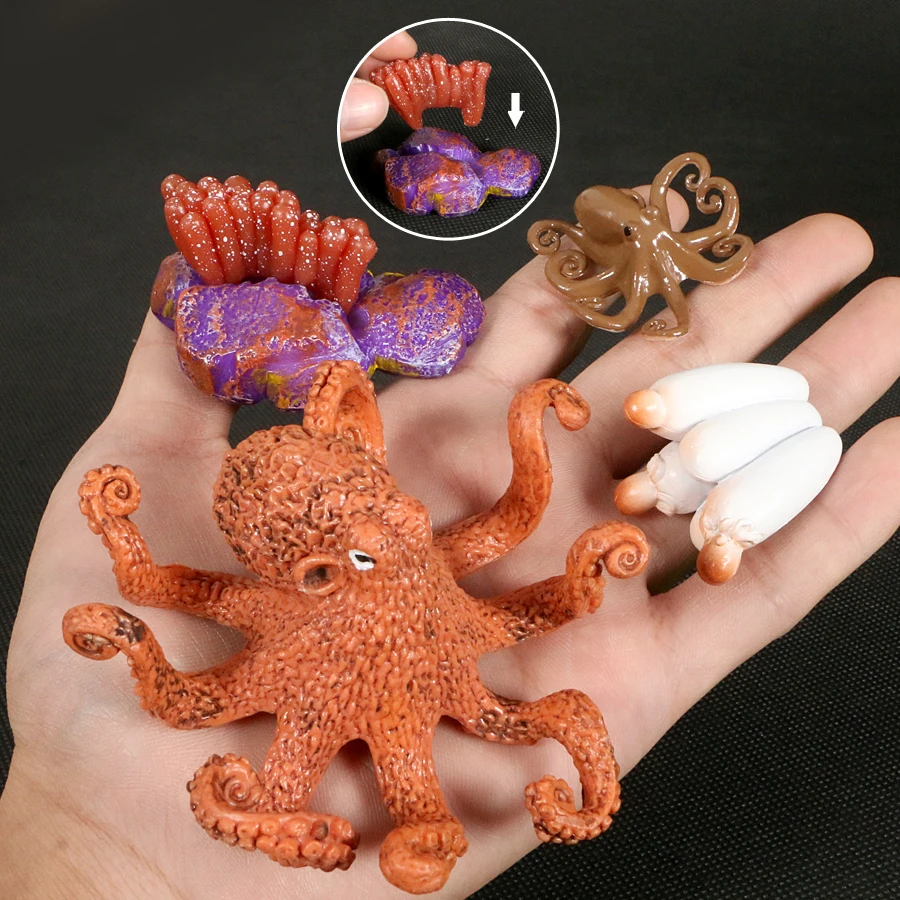 Bear Shark Octopus Scorpion