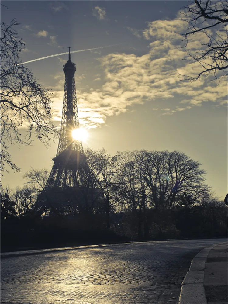 Eiffel Tower Tumblr Themes