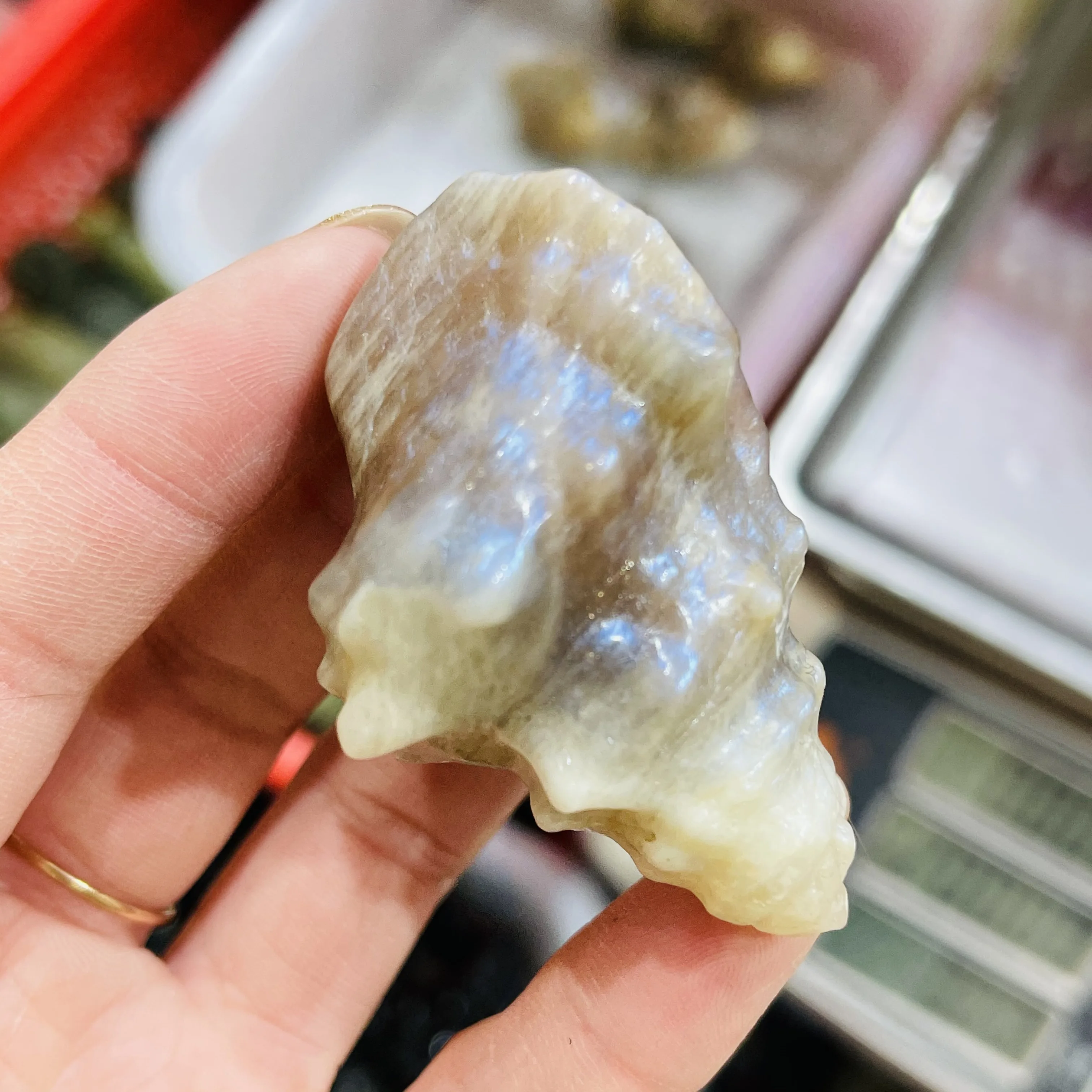 Natural Moonstone Polished Carving Conch Collection Home Decoration ...