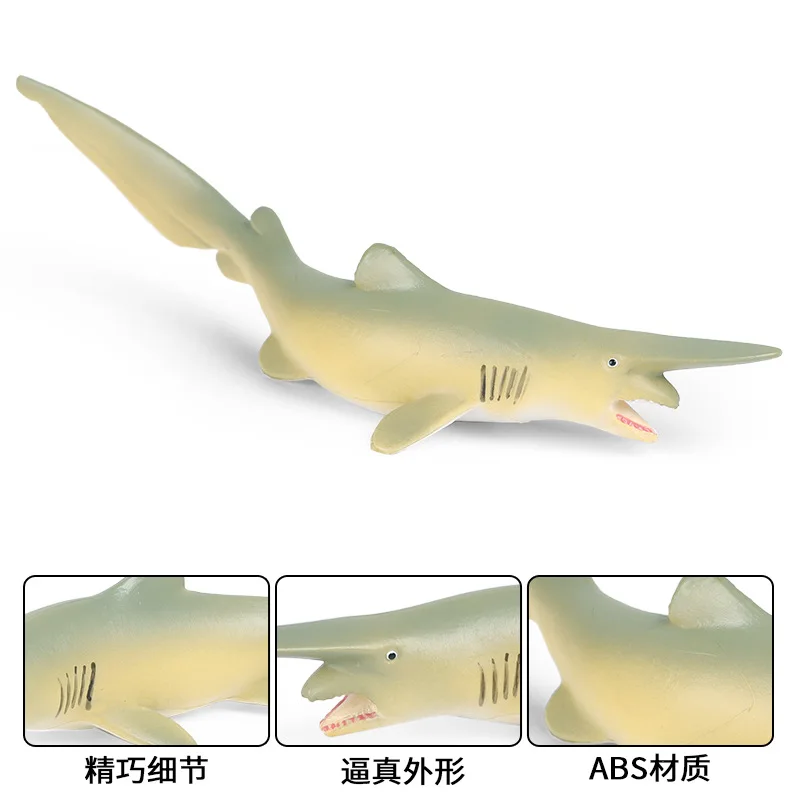 Goblin Shark Animal