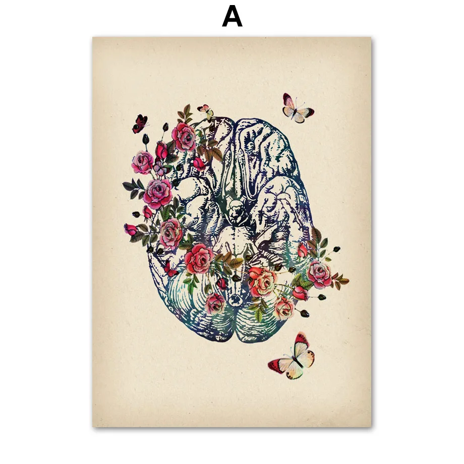 Anatomy Wallpaper Abstract